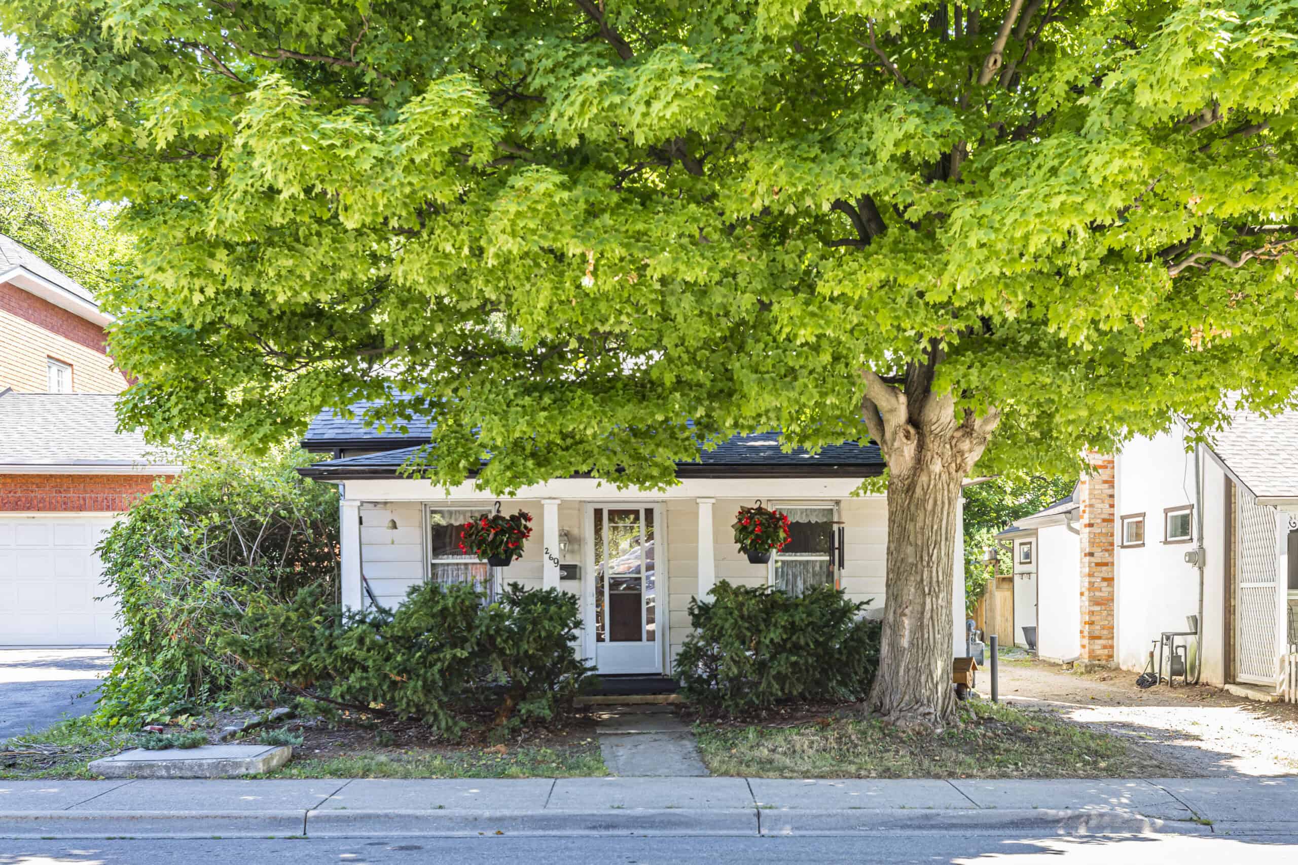 Park Street West, Dundas - Steve Roblin